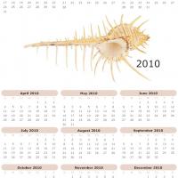 2010 Shell Calendar