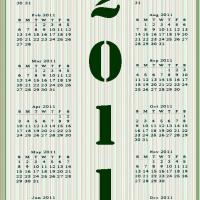 2011 Stripes Calendar