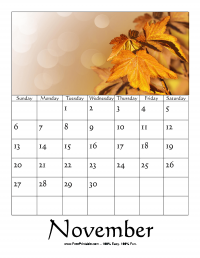 November 2016 Photo Calendar