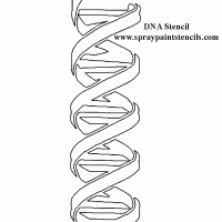 DNA Stencil