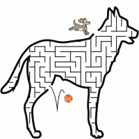 Dog Maze