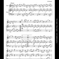 Flute - Ecossaise By Hummel