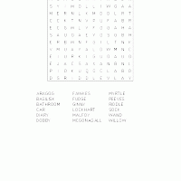 Harry Potter And The Chamber Of Secrets Word Hunt