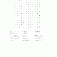 Harry Potter Prisoner of Azkaban Word Hunt