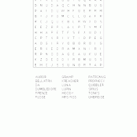 Harry Potter The Order Of The Phoenix Word Hunt