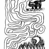 Help The Cat Find The Maze