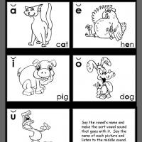 Middle Short Vowel Review