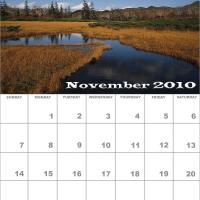 November 2010 Nature Calendar