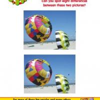 Photo Spot The Difference