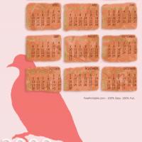 Pink Bird Shadow Calendar