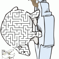 Polar Bear Maze