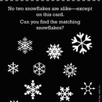 Science: Snowflake Matching