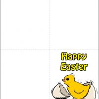 Yellow Chick Out Of The Shell